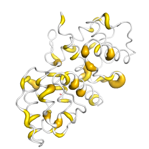 ACTN4 Gene - Somatic Mutations in Cancer