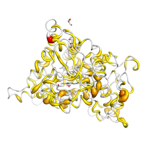 CYP2C19 Gene - Somatic Mutations in Cancer