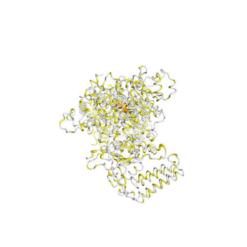 DICER1 Gene - Somatic Mutations in Cancer