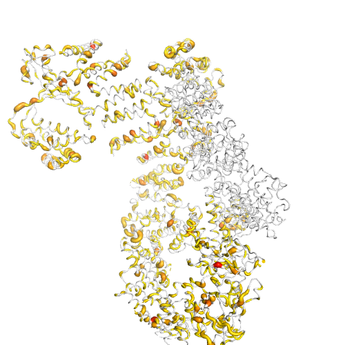 DOCK2 Gene - Somatic Mutations in Cancer
