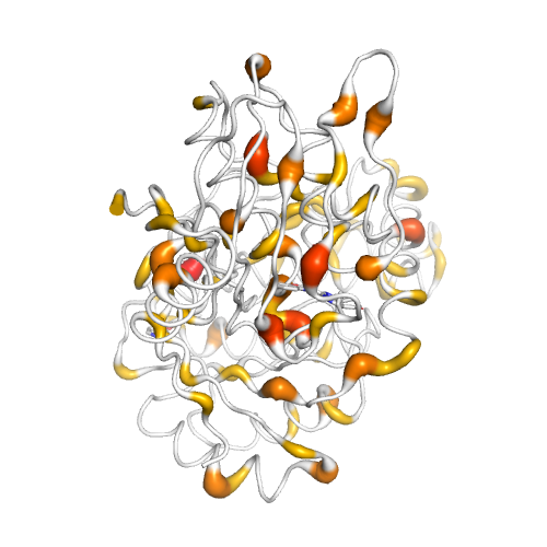 GALK1 Gene - Somatic Mutations in Cancer