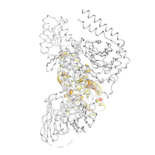 MRGPRX4 Gene - Somatic Mutations in Cancer