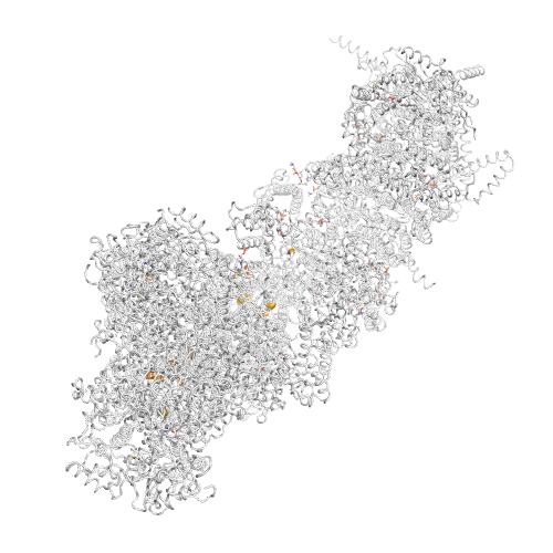 MT-ND4L Gene - Somatic Mutations in Cancer