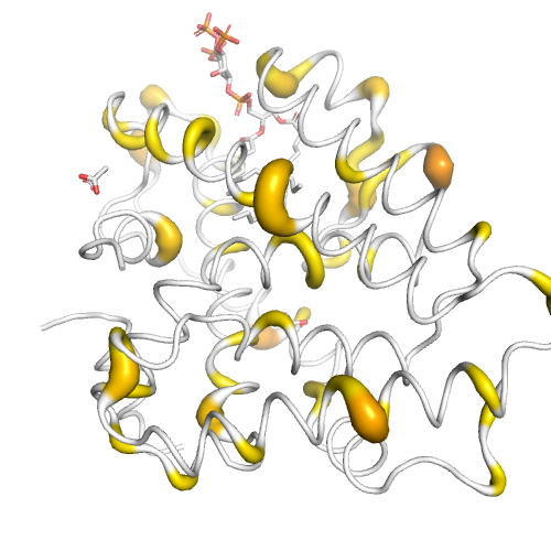 NR5A1 Gene - Somatic Mutations in Cancer
