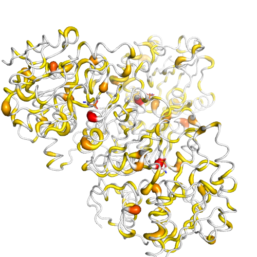 OTC Gene - Somatic Mutations in Cancer