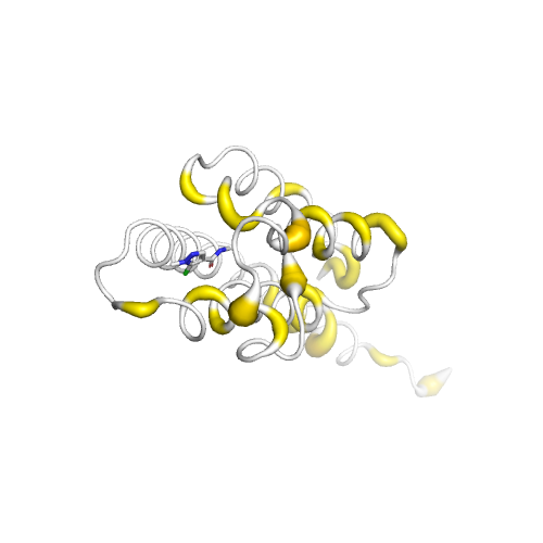 PHIP Gene - Somatic Mutations in Cancer
