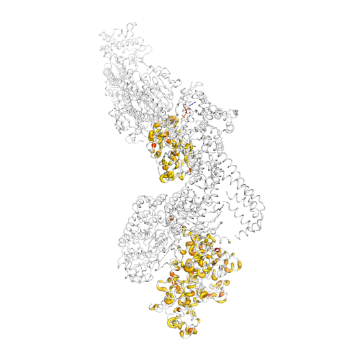 PIK3C3 Gene - Somatic Mutations in Cancer
