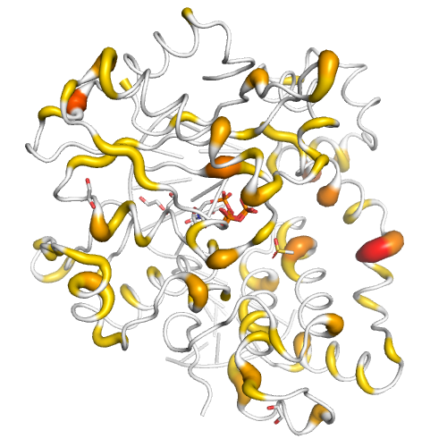 POLM Gene - Somatic Mutations in Cancer