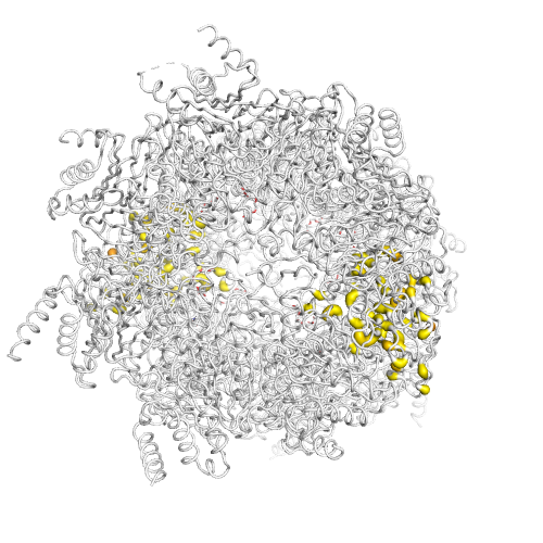 PSMB1 Gene - Somatic Mutations in Cancer