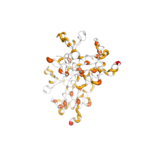 SAT1 Gene - Somatic Mutations in Cancer
