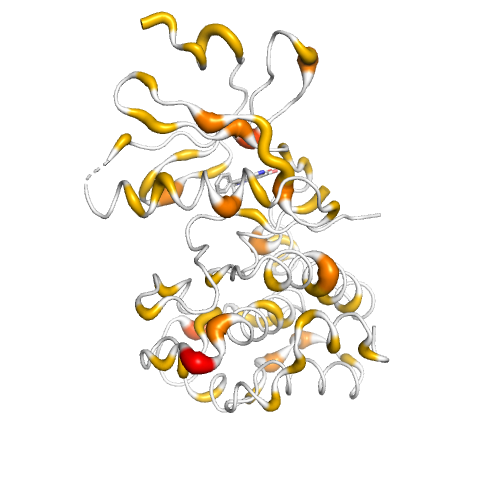 WEE1 Gene - Somatic Mutations in Cancer