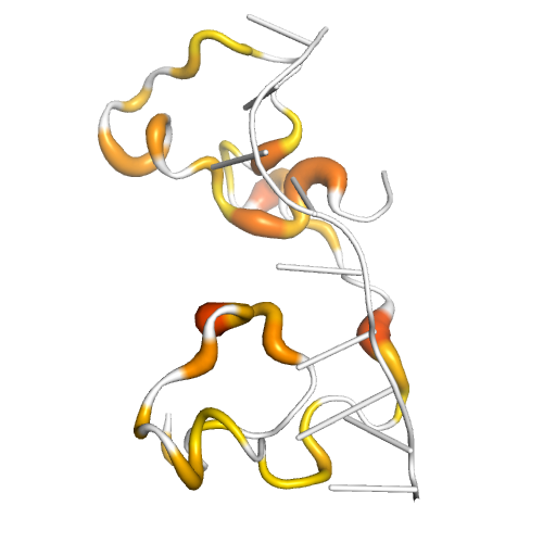 ZFP36L2 Gene - Somatic Mutations in Cancer